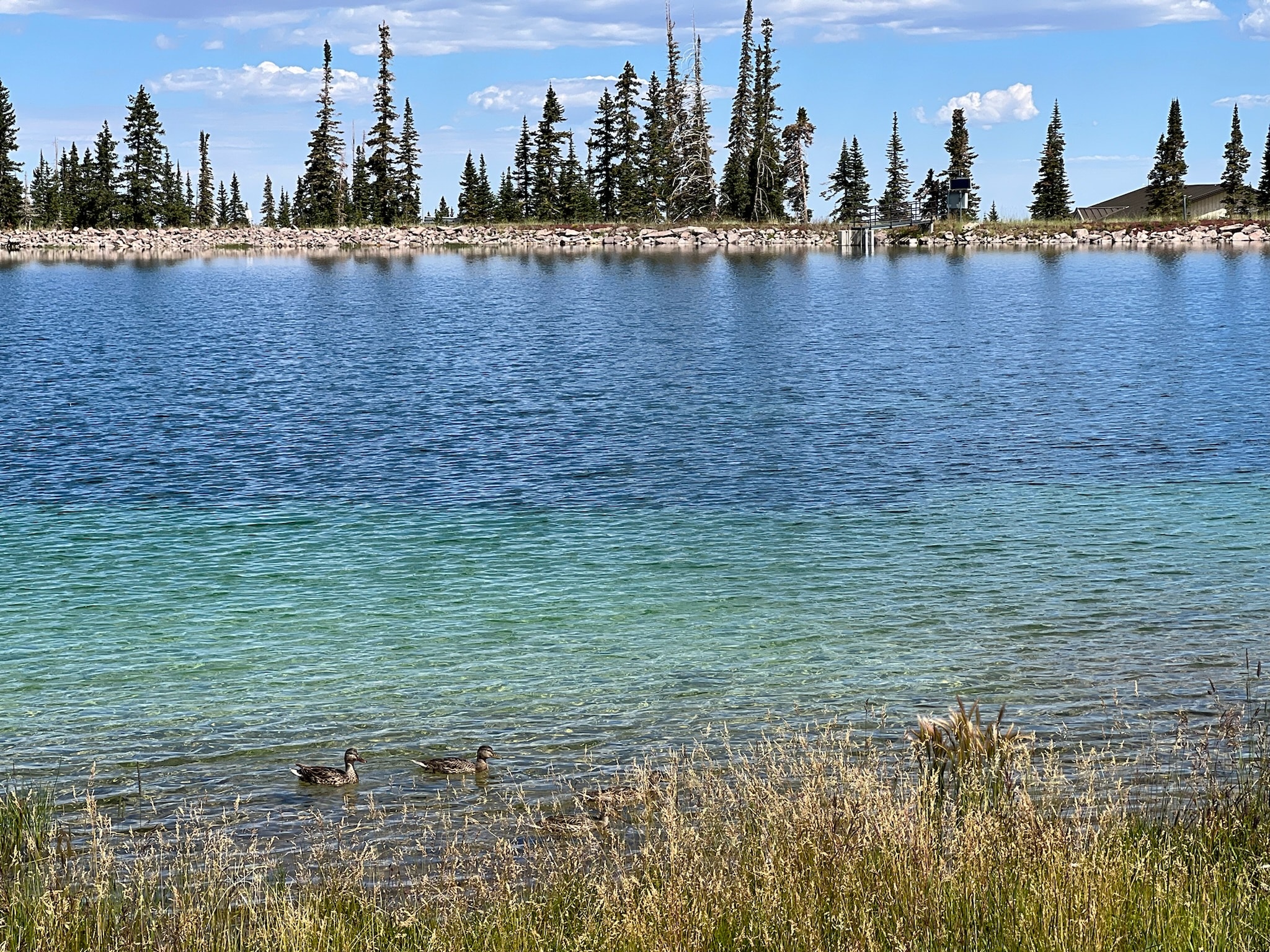 Hiking - Brian Head Resort