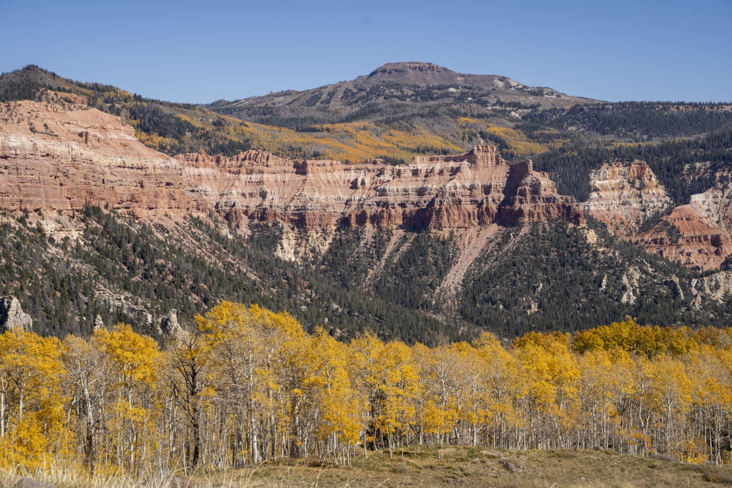 Where to see Fall Leaves. Experience Fall at Brian Head Resort - Brian ...