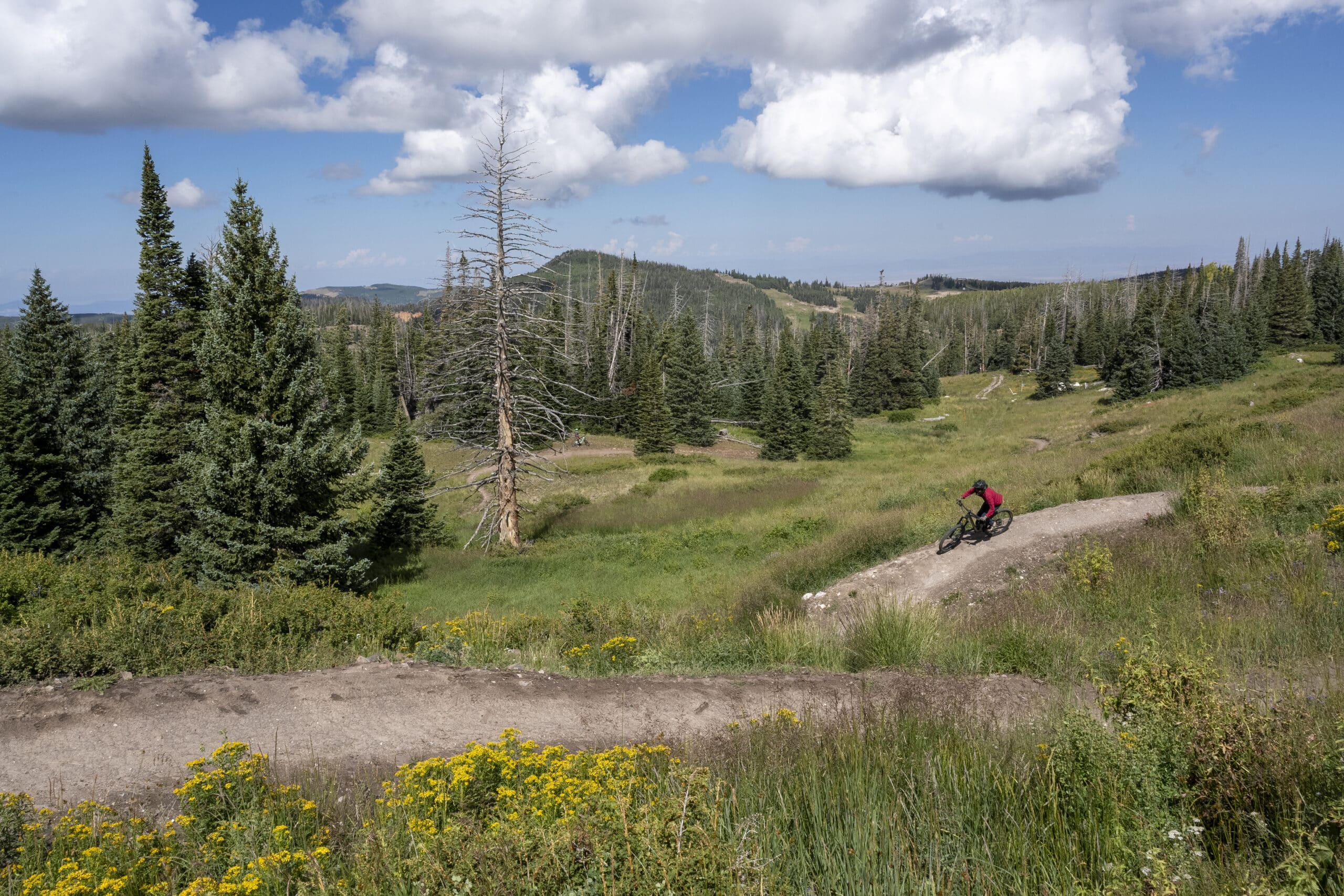 Offers - Brian Head Resort